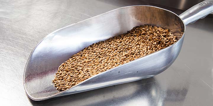 STEP MASHING IN BEER BREWING – WHAT IS IT AND WHY DO IT? – Brewcraft