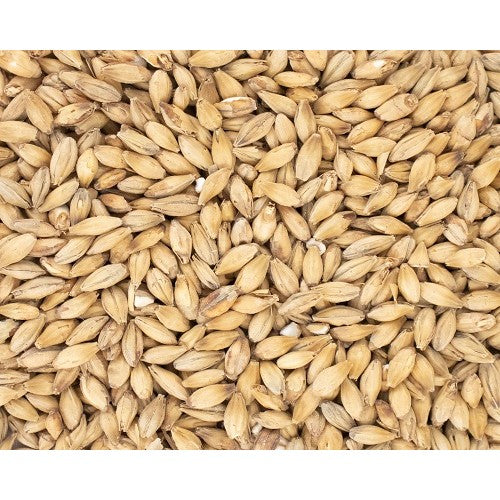 Pale Malt,SAB 1kg – Brewcraft