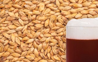 Best Melanoidin Malt - 1Kg – Brewcraft