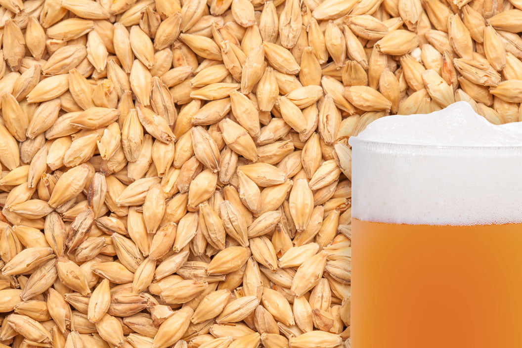 Best Vienna Malt - 1Kg – Brewcraft