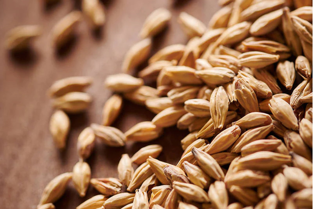 Grains – Brewcraft