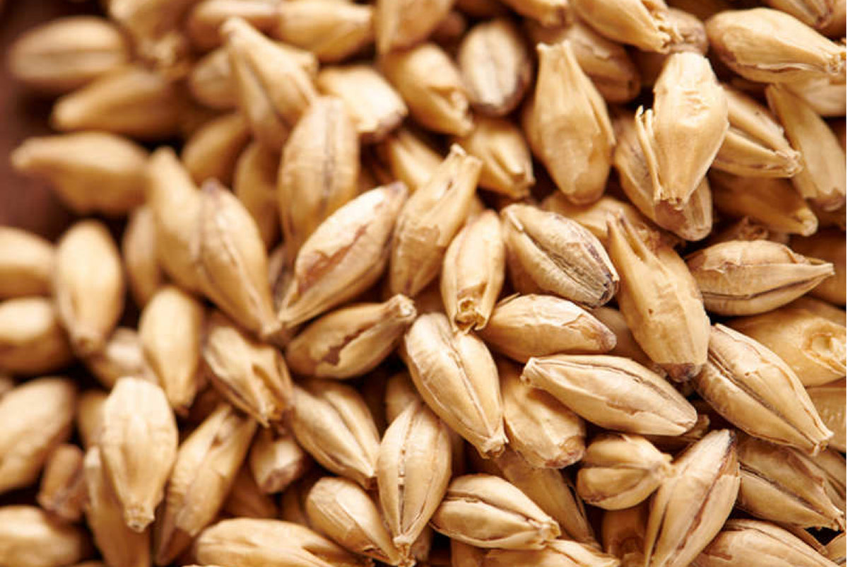 Grains – Brewcraft